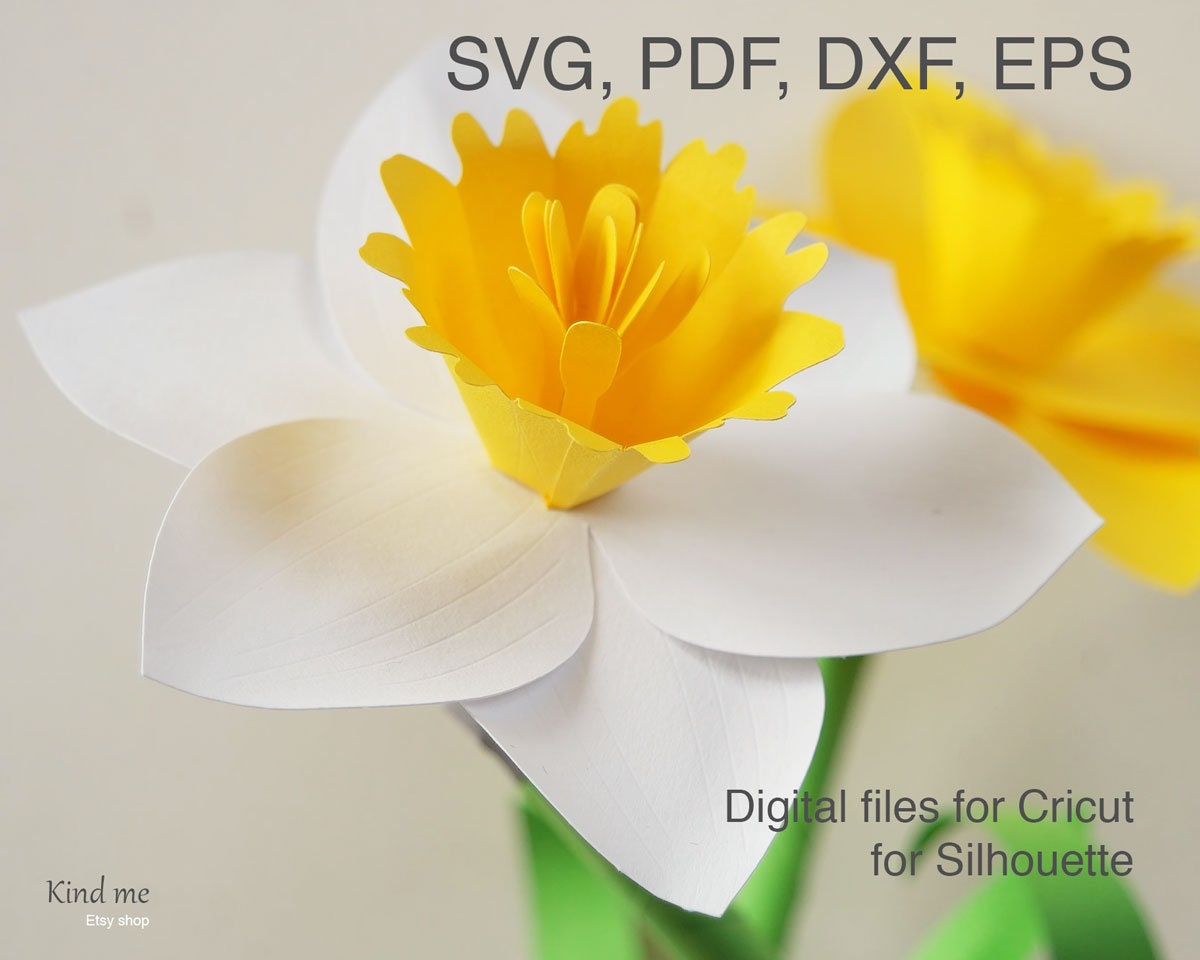 Daffodil Flower Digital Template for Cricut Svg Pdf Esp - Etsy