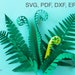 Fern Leaf & Fiddlehead Templates for Cricut, Svg, Pdf, Esp, Dxf ...