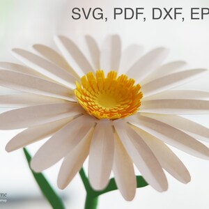 Daisy Flower Template for Cricut, Svg, Pdf, Esp, Dxf, Instructions ...