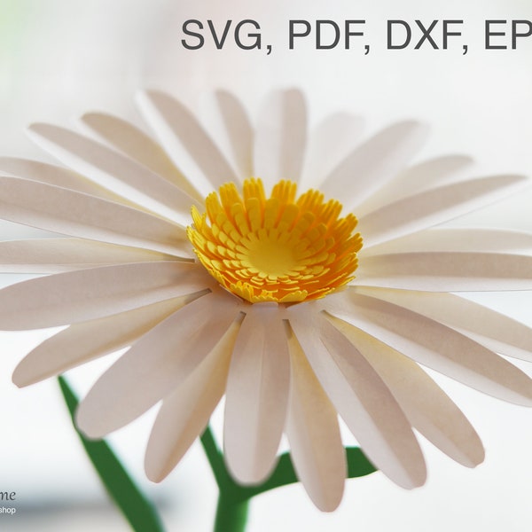 White Daisy Svg - Etsy