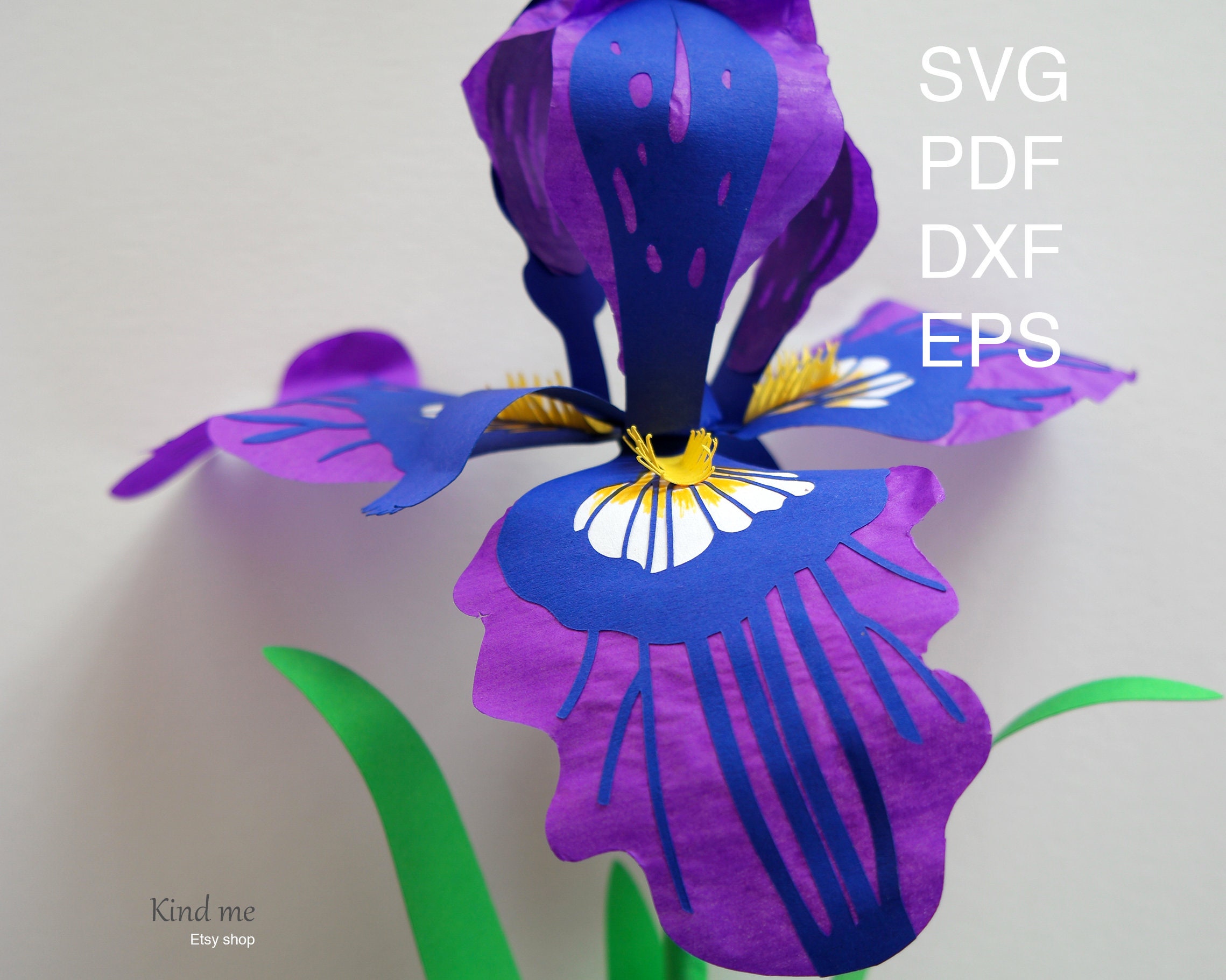 Iris Flower Template for Cricut, Svg, Pdf, Esp, Dxf, Instructions ...