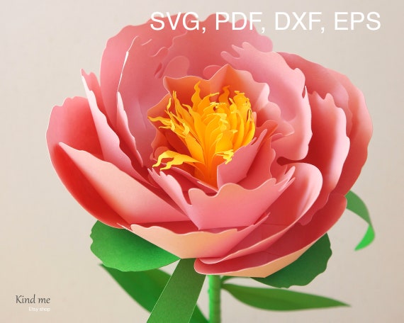 Peony Template for Cricut Svg Pdf Esp Dxf Instructions - Etsy