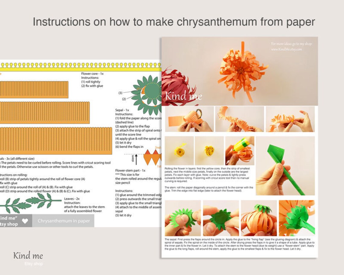 Chrysanthemum Flower Template for Cricut, Svg, Pdf, Esp, Dxf ...