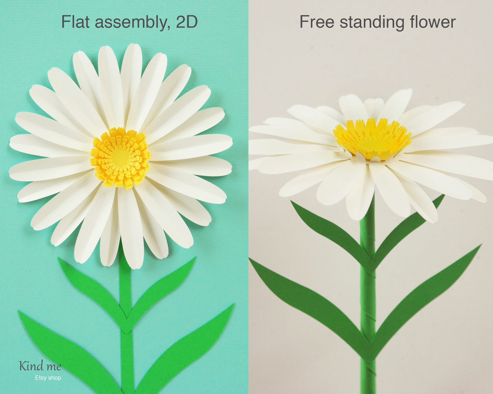 Daisy Flower Template for Cricut, Svg, Pdf, Esp, Dxf, Instructions ...