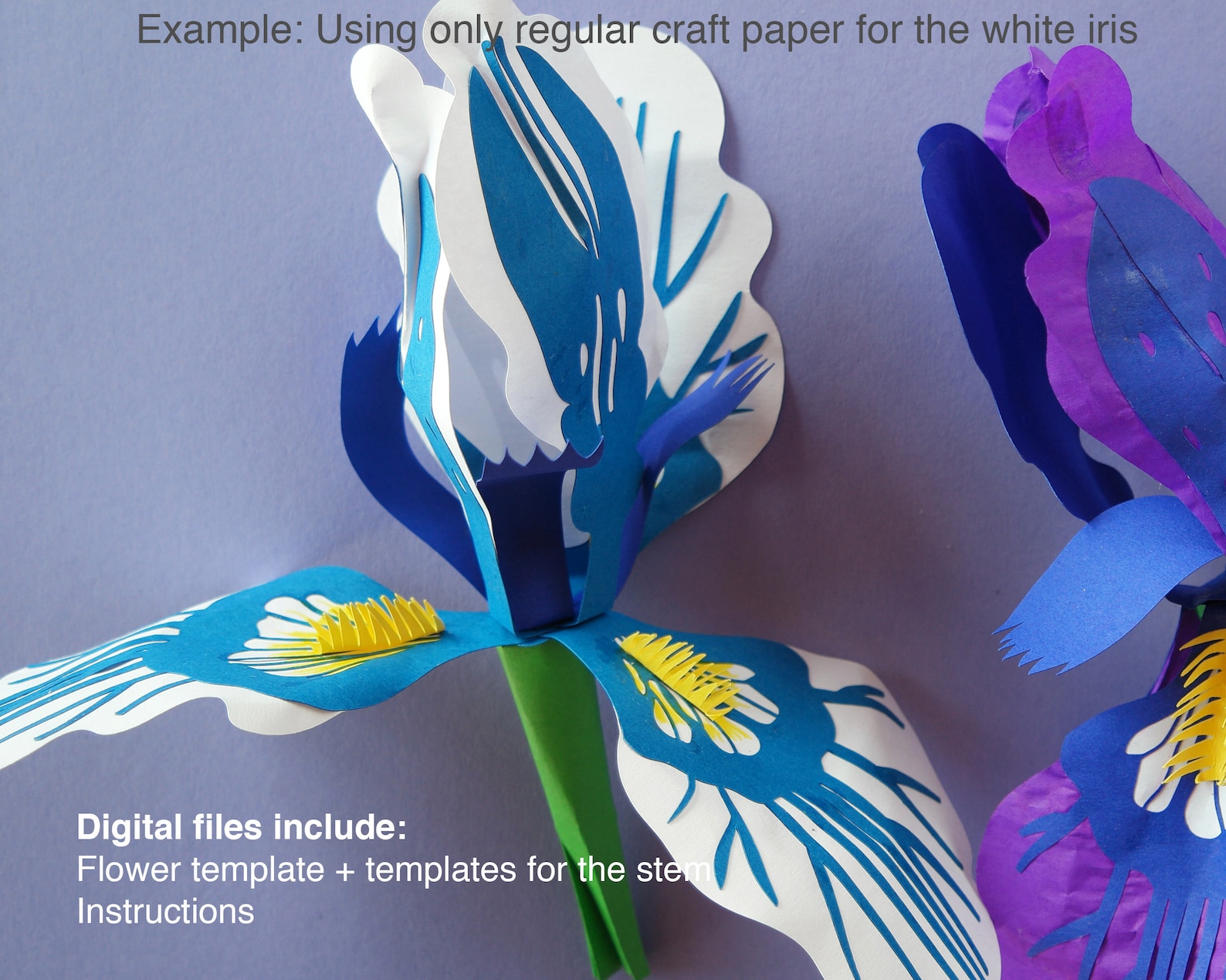 Iris Flower Template for Cricut, Svg, Pdf, Esp, Dxf, Instructions ...