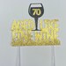 70 Cake Topper, 70th Birthday Cake Topper, 70th Birthday Cake Decor ...