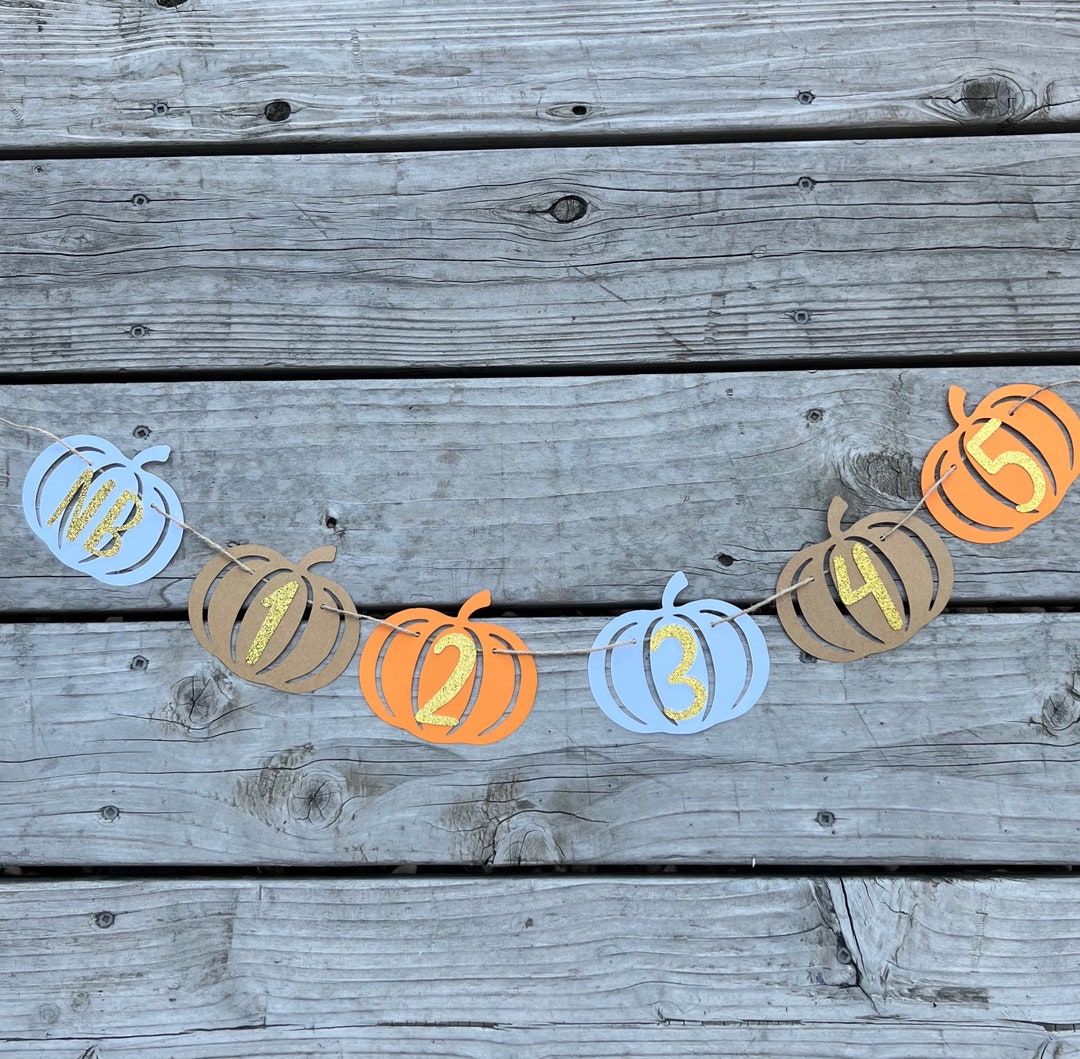 Pumpkin Monthly Photo Banner, Fall Photo Banner, Fall Monthly Photo ...