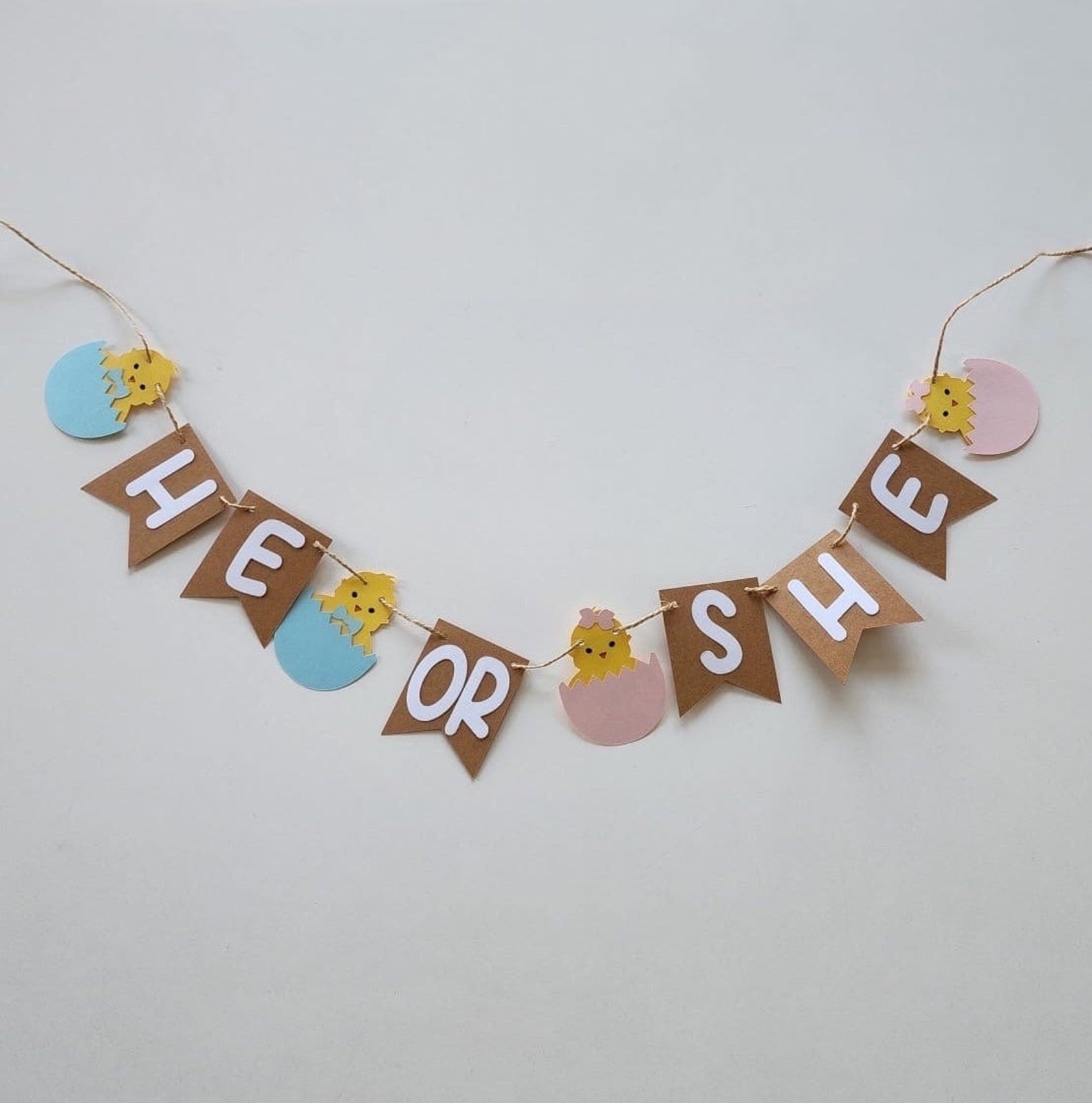 Chick Gender Reveal Banner: Easter Hatching Party Decor - Etsy