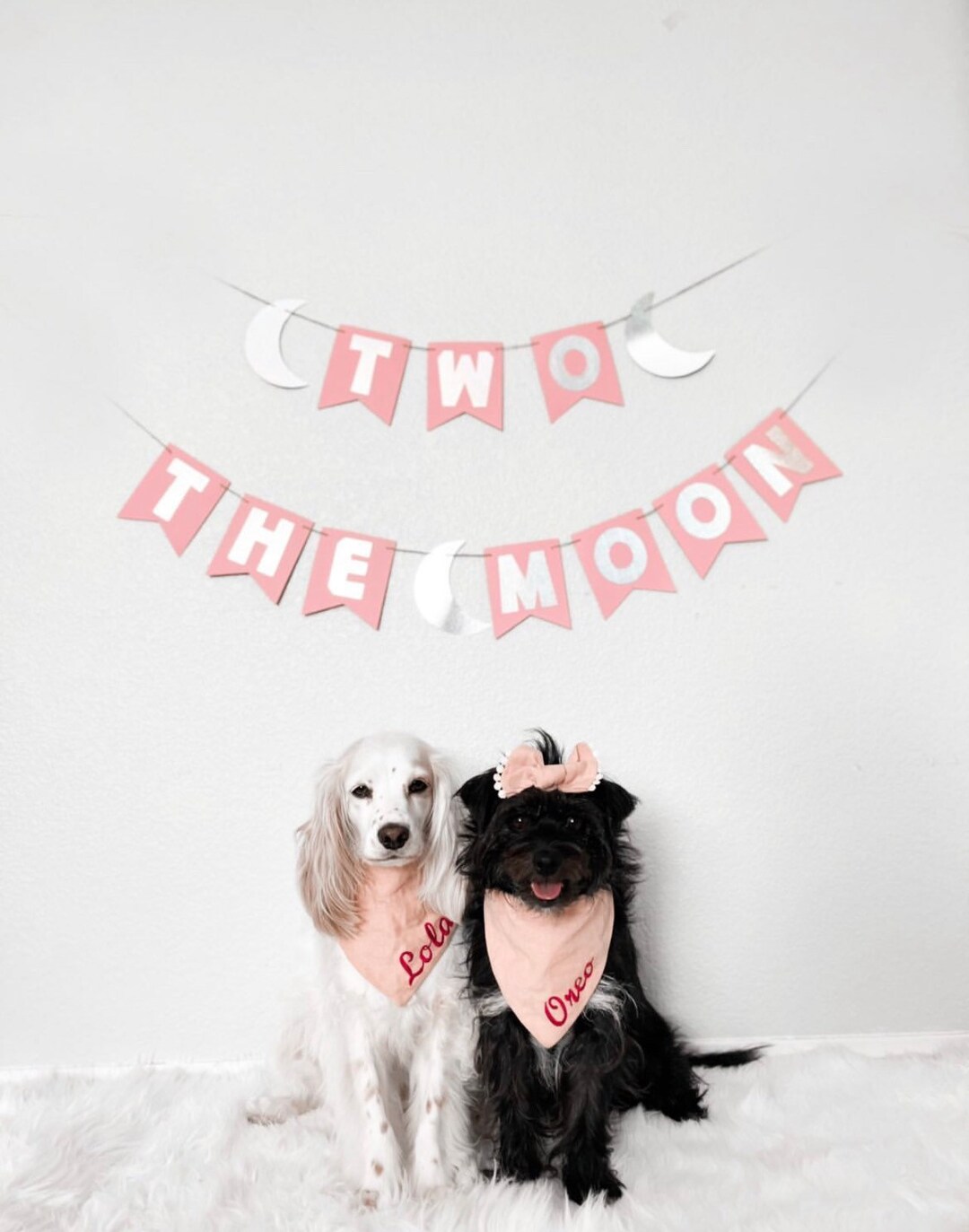 Two the Moon Banner: Holographic Space Birthday Party Decor - Etsy