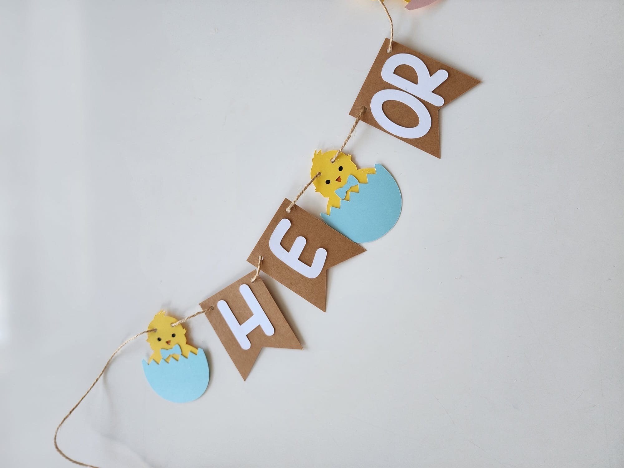 Chick Gender Reveal Banner: Easter Hatching Party Decor - Etsy