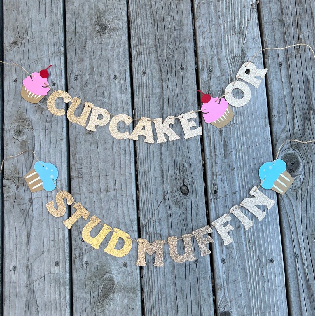 Cupcake Banner, Stud Muffin Banner, Pink or Blue Banner, Boy or Girl ...