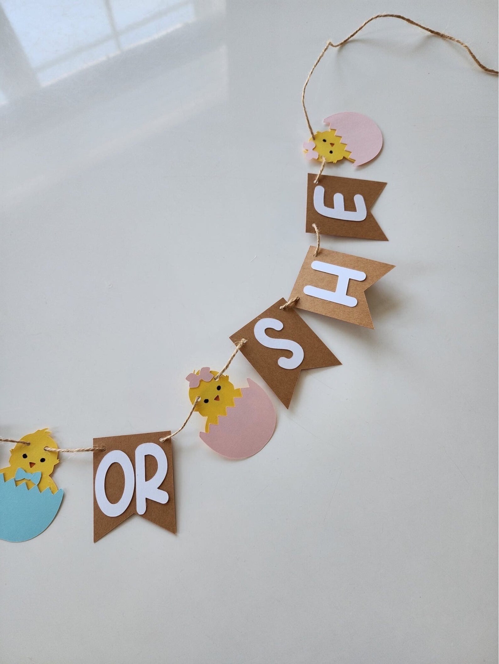 Chick Gender Reveal Banner: Easter Hatching Party Decor - Etsy