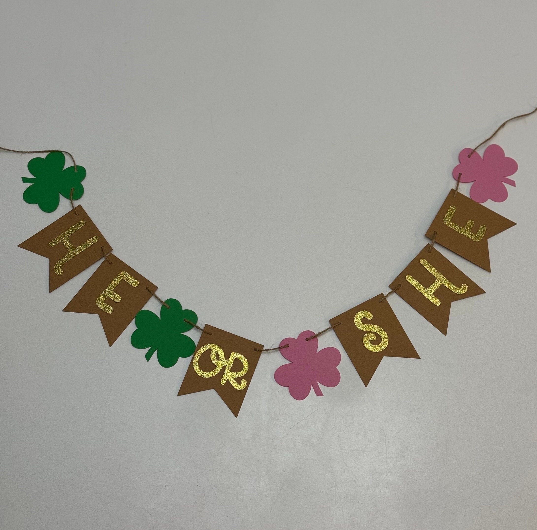 St. Patrick's Gender Reveal Banner: Shamrock or Four Leaf Clover - Etsy