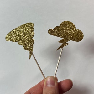 Weather Cupcake Toppers: Storm Chaser Party Decor (set of 12) - Etsy