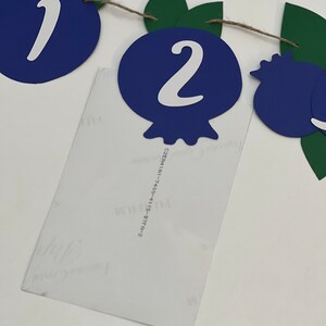 Blueberry First Year Photo Banner: Newborn to 12 Months - Etsy