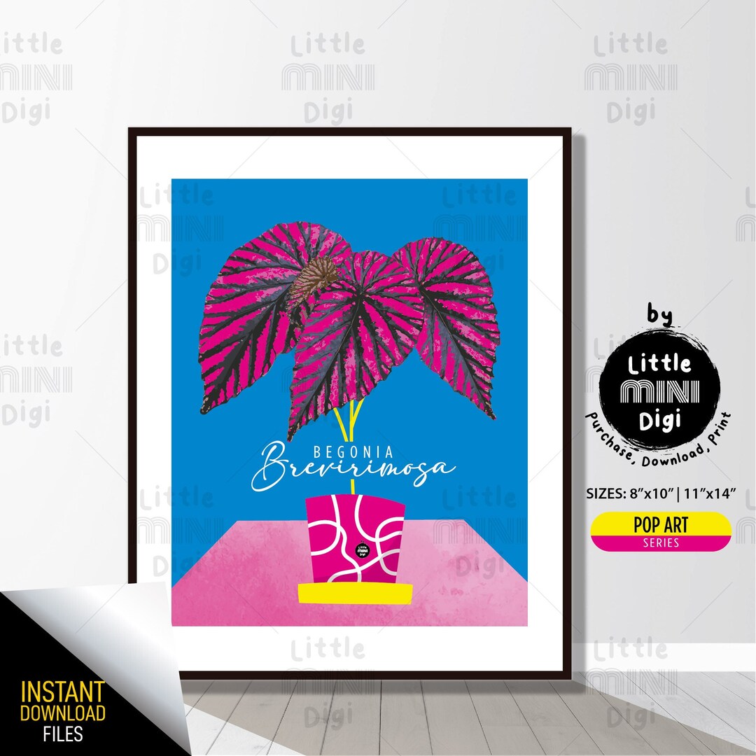 Begonia Brevirimosa Digital Pop Art Print Poster, Begoniaceae Genus ...