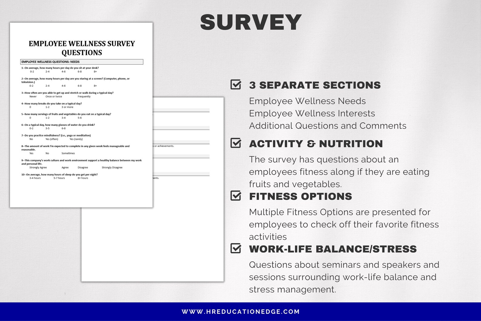 Employee Wellness Survey Template: HR Feedback Form (digital Download ...