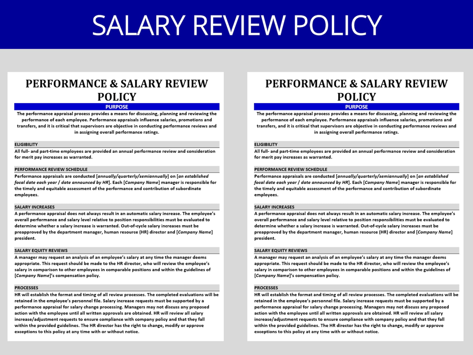 HR Salary & Performance Review Policy Editable MS Word Policy Template ...
