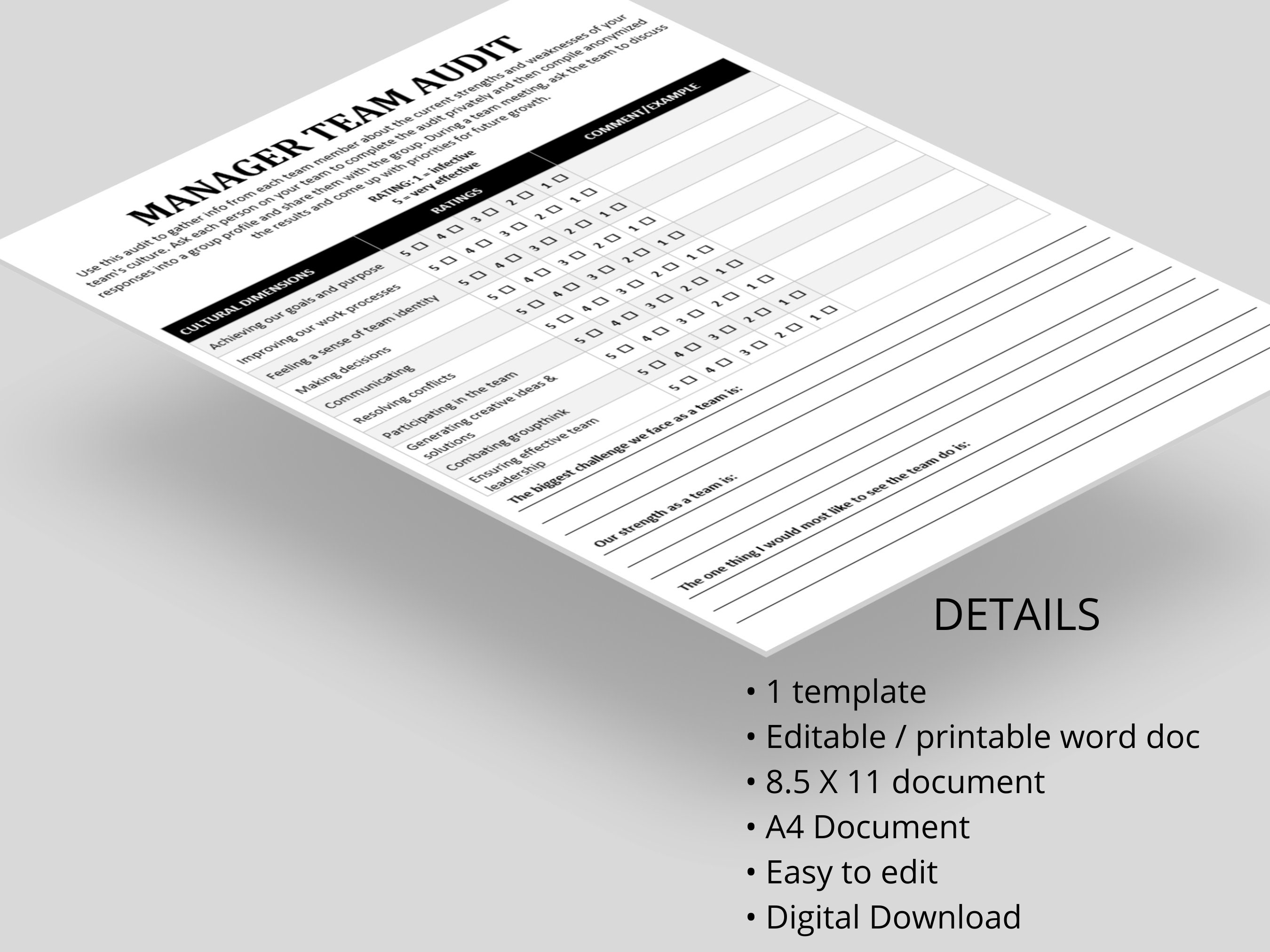 Manager Team Audit Manager Training HR Leadership Employee Management ...