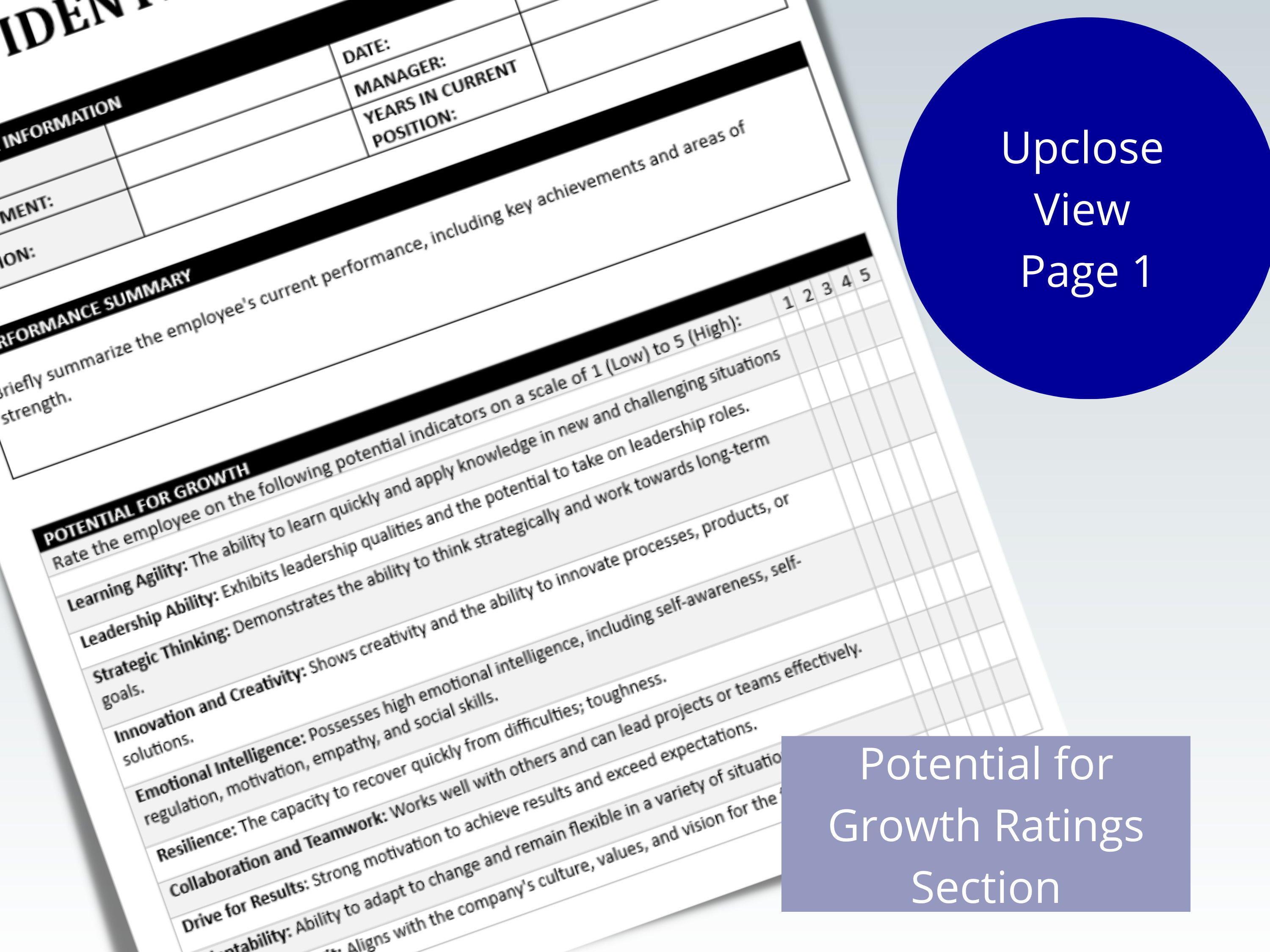 Hipo Identification Form High-potential Employee Top Talent Assessment ...