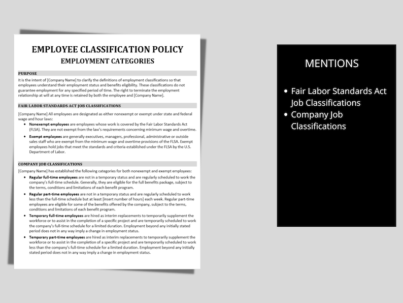 Employee Classification Policy Template: Editable HR Word Form (digital ...