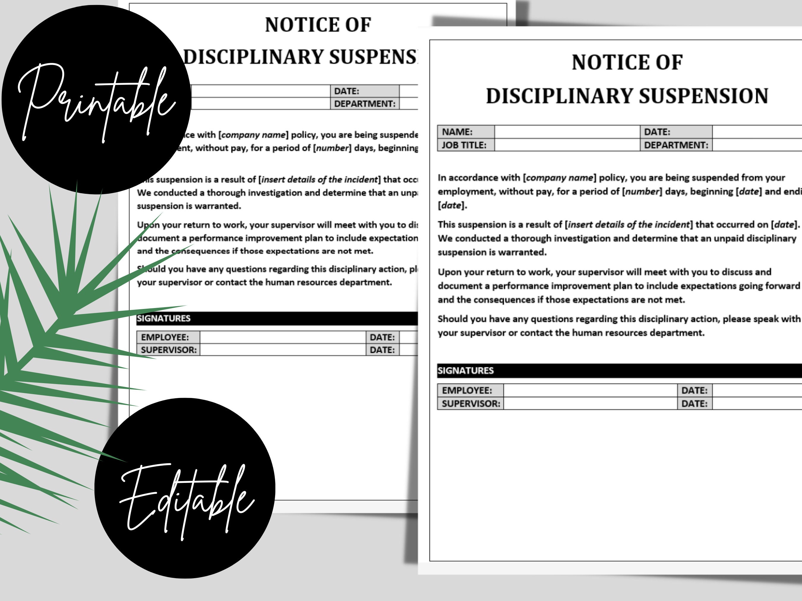 Notice of Disciplinary Suspension HR Template Write up Form Human ...