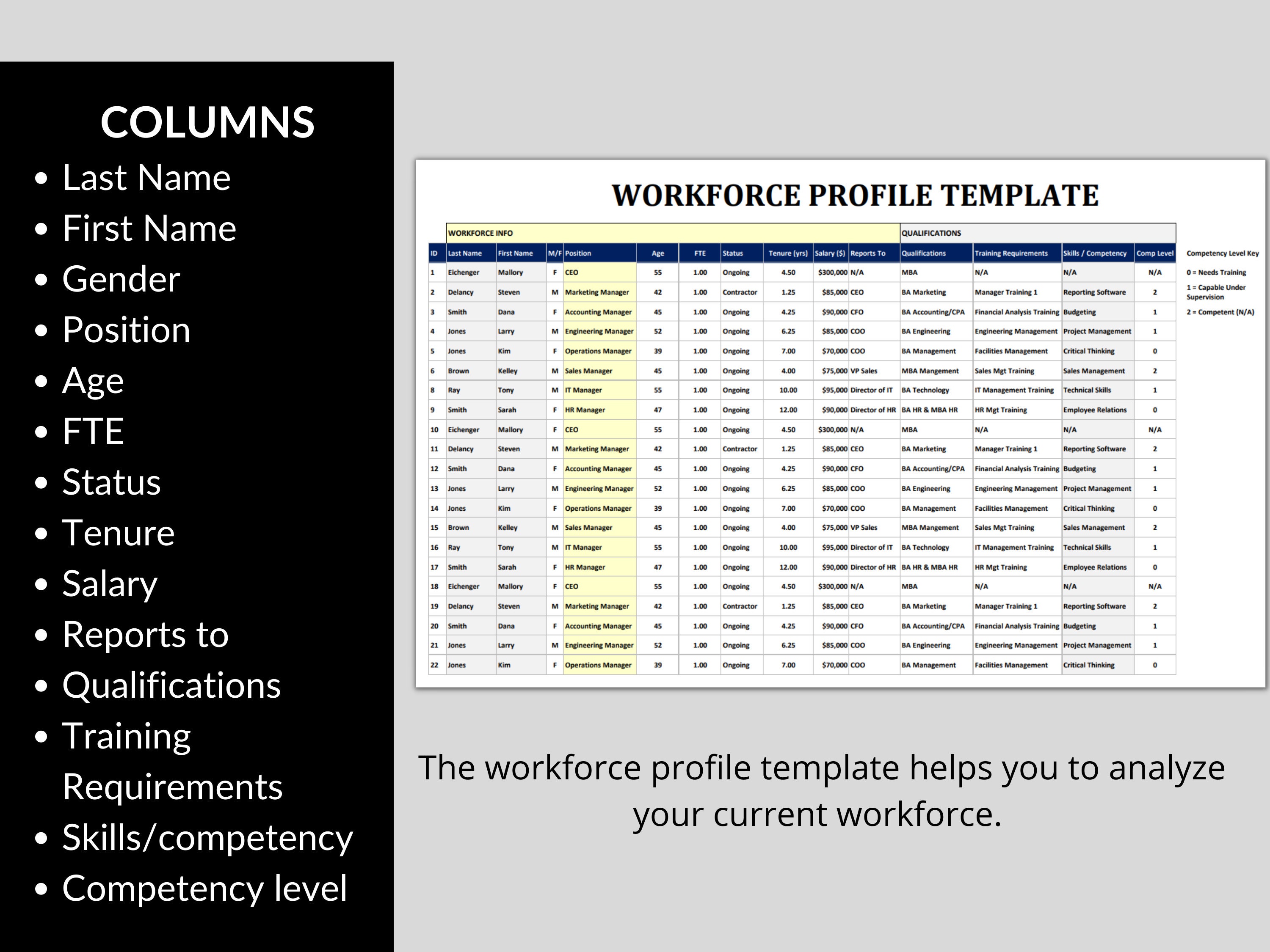 Workforce Profile Template: Excel HR Spreadsheet for Talent Gap ...