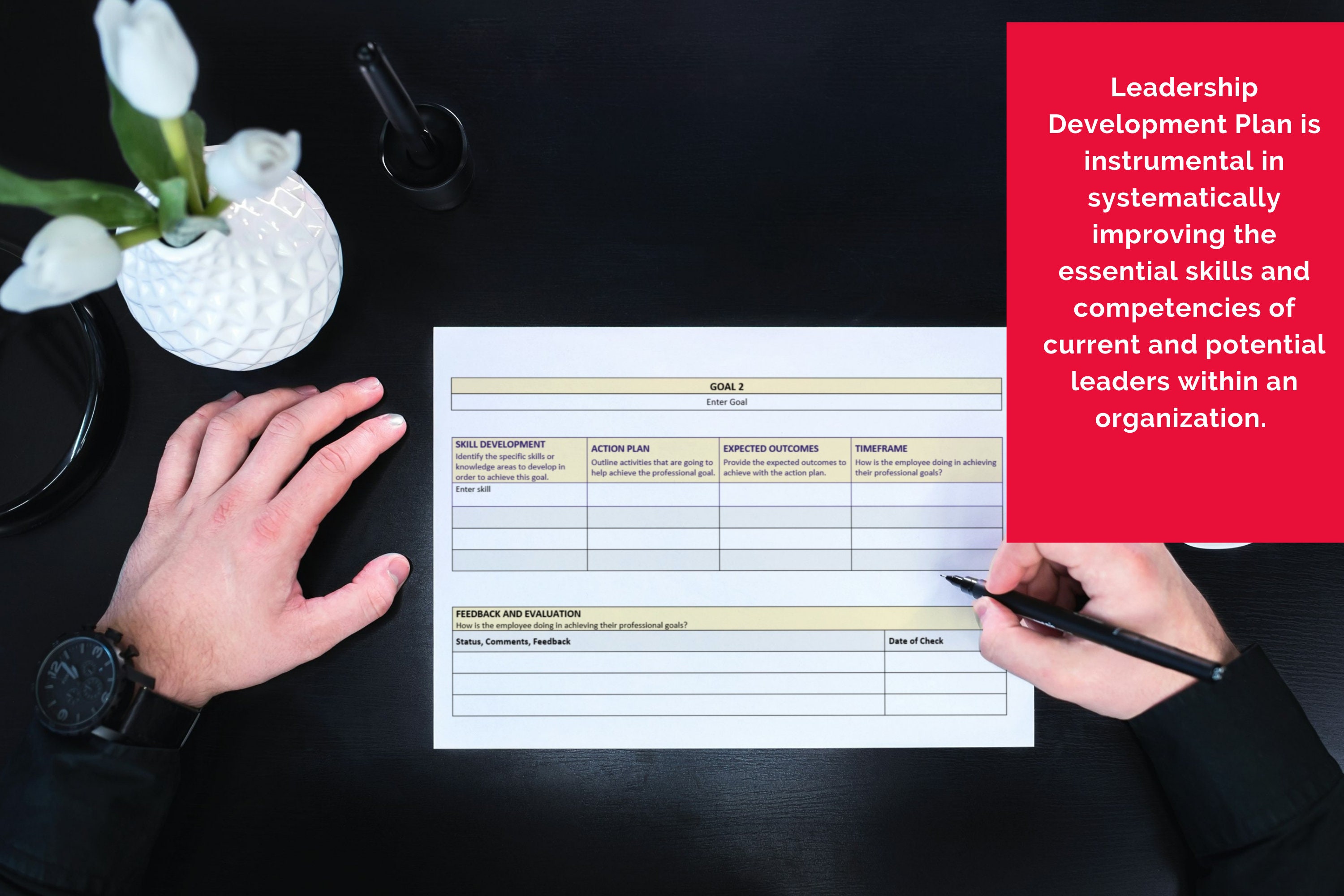 Leadership Development Plan Template: Employee Goals & Skills (word ...