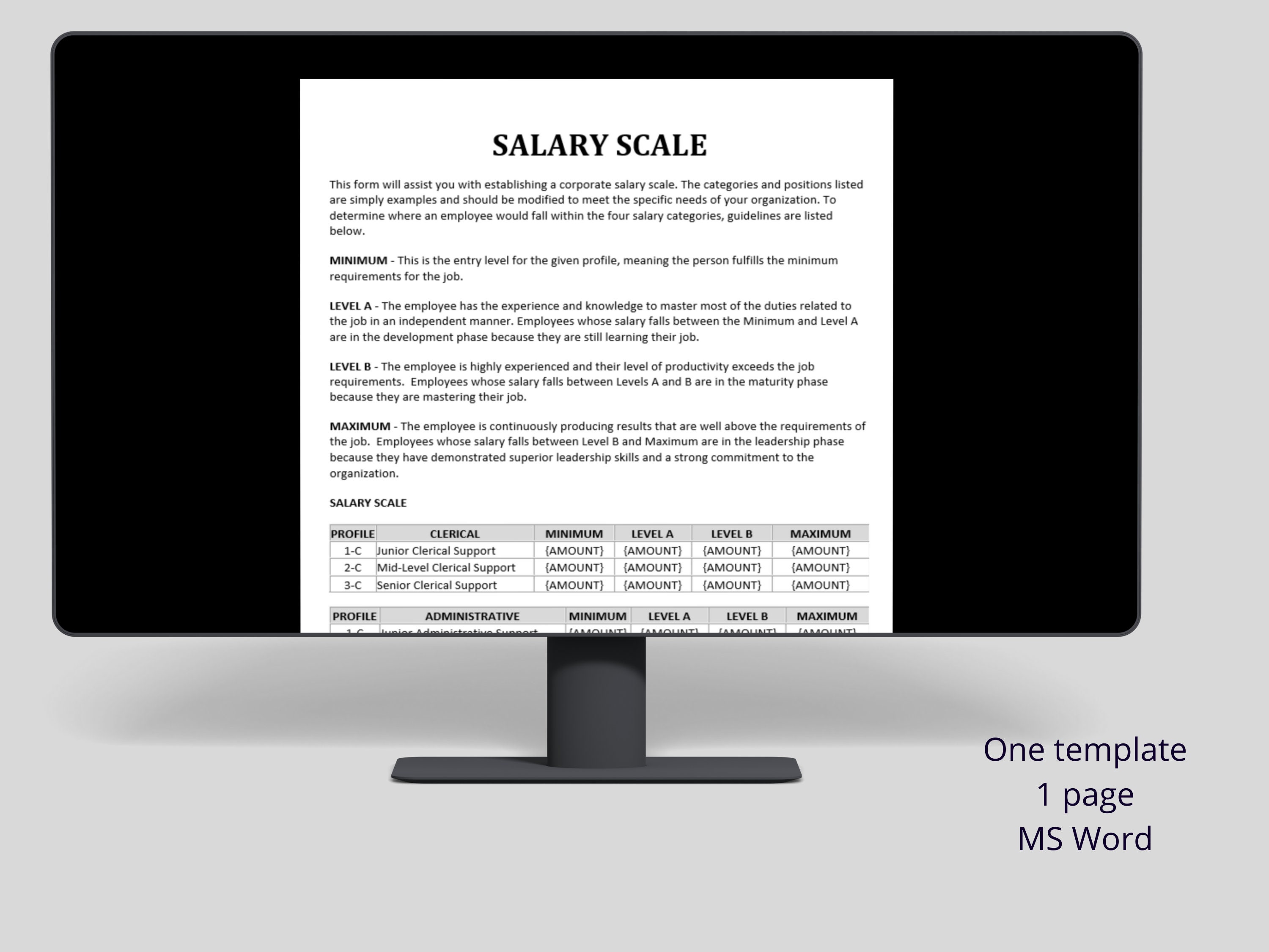 Comprehensive and Customizable Salary Scale Template (Instant Download ...
