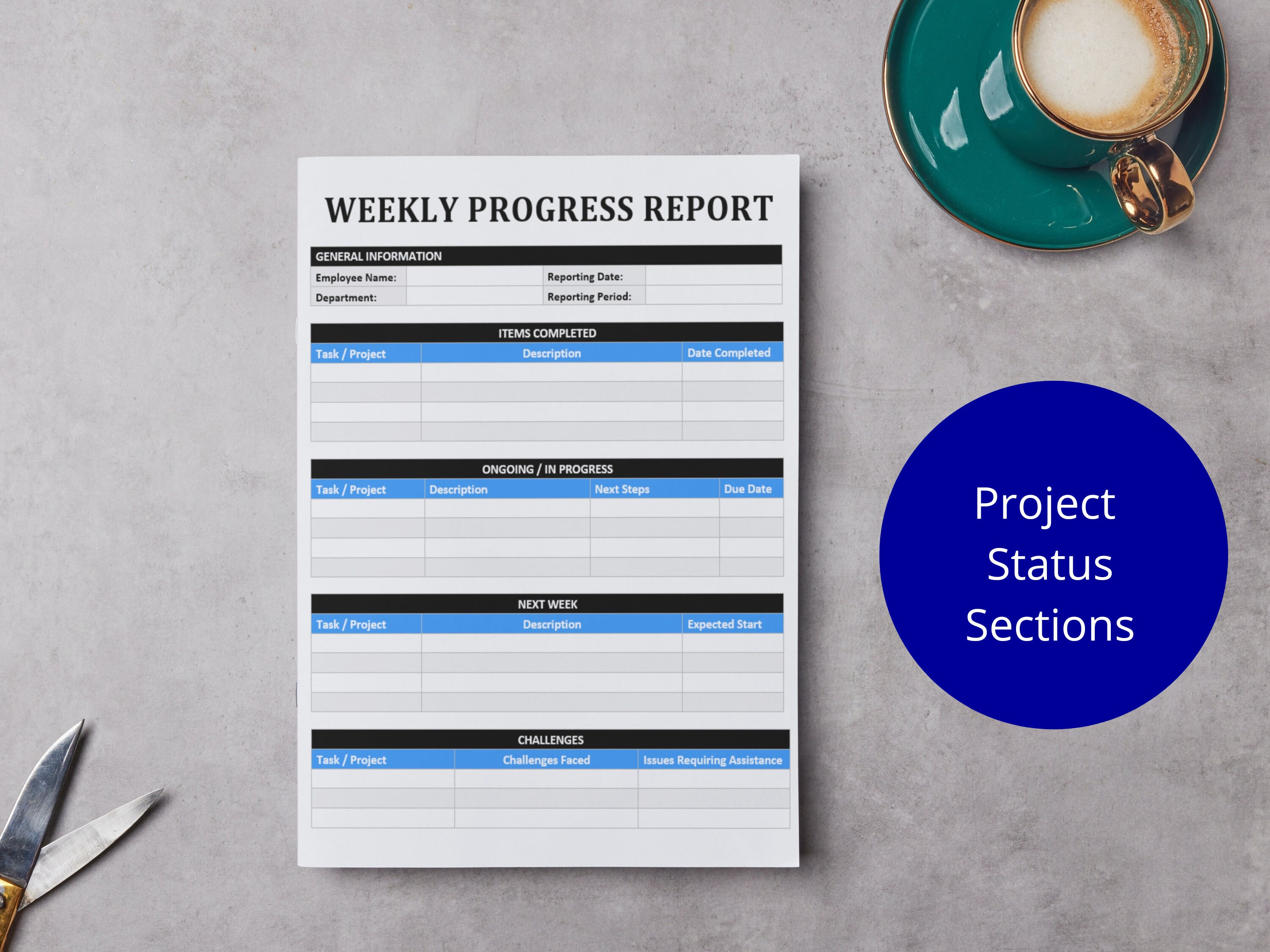 Employee Daily/weekly Progress Report Template (digital Download) - Etsy