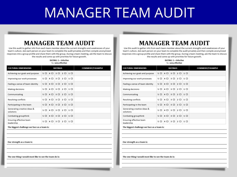 Manager Team Audit Manager Training HR Leadership Employee Management ...