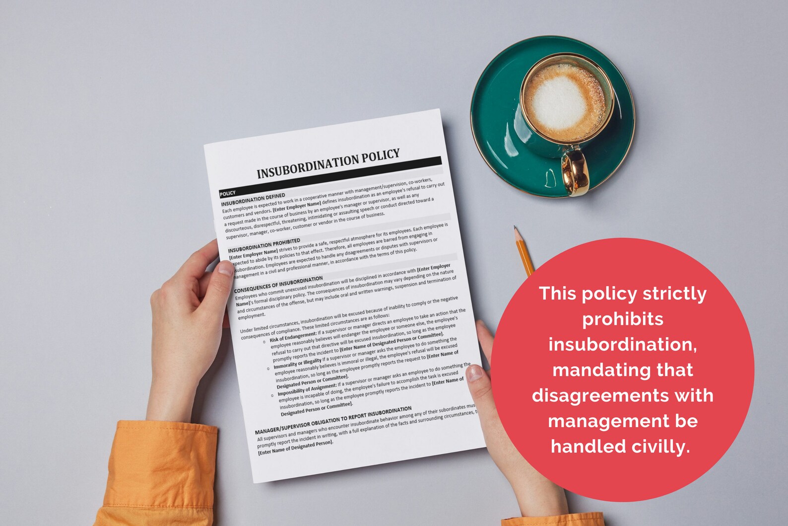 Insubordination Policy Employee Policy HR Template Code of Conduct ...