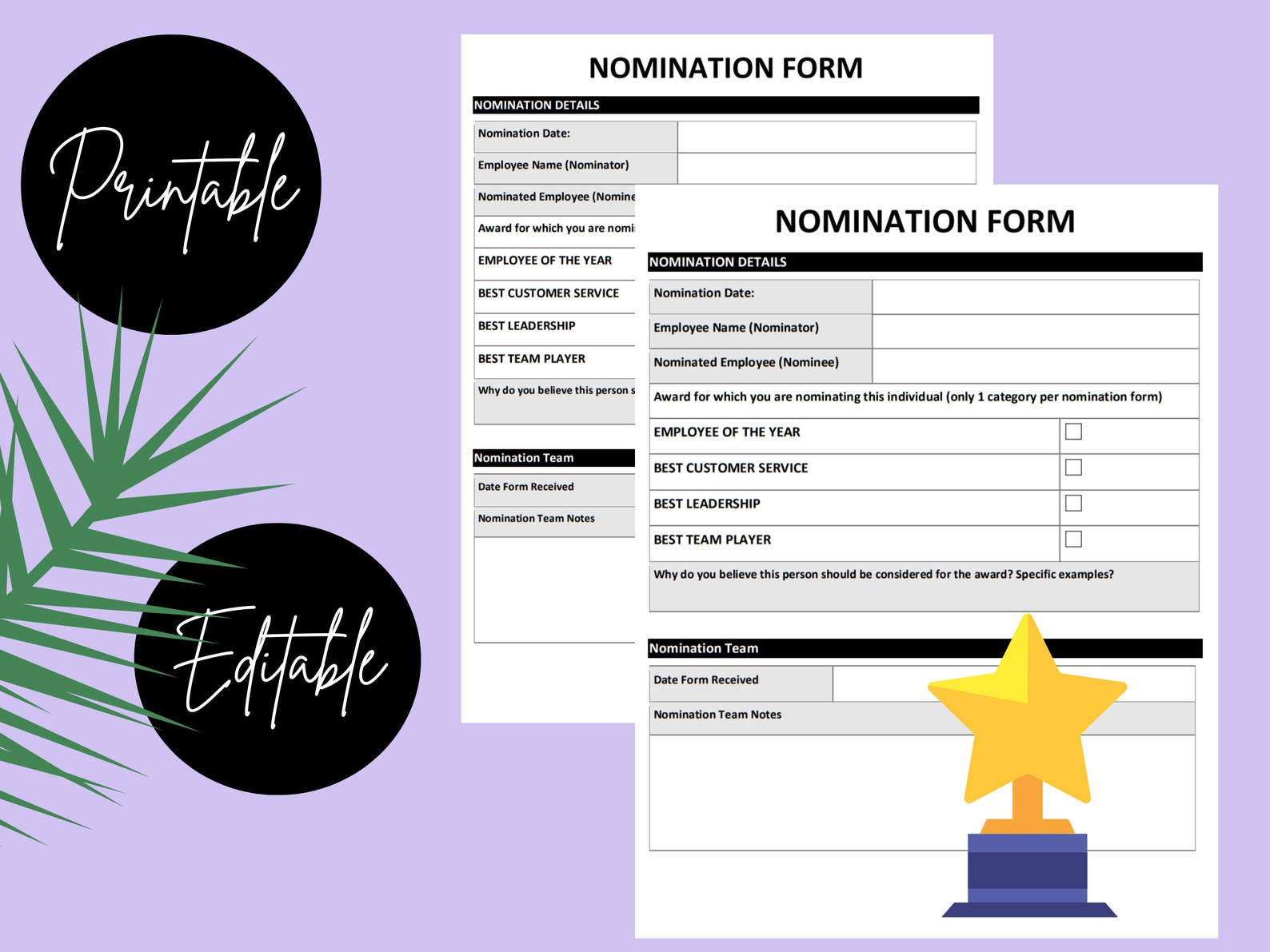 Employee Recognition Award Nomination Template - A Must-have HR ...