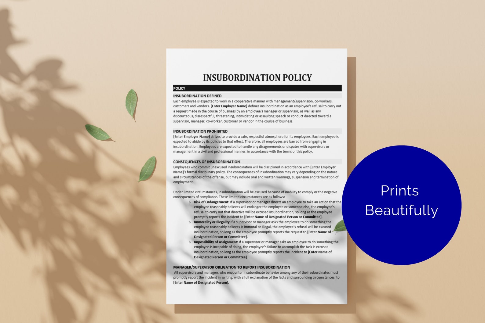 Insubordination Policy Employee Policy HR Template Code of Conduct ...