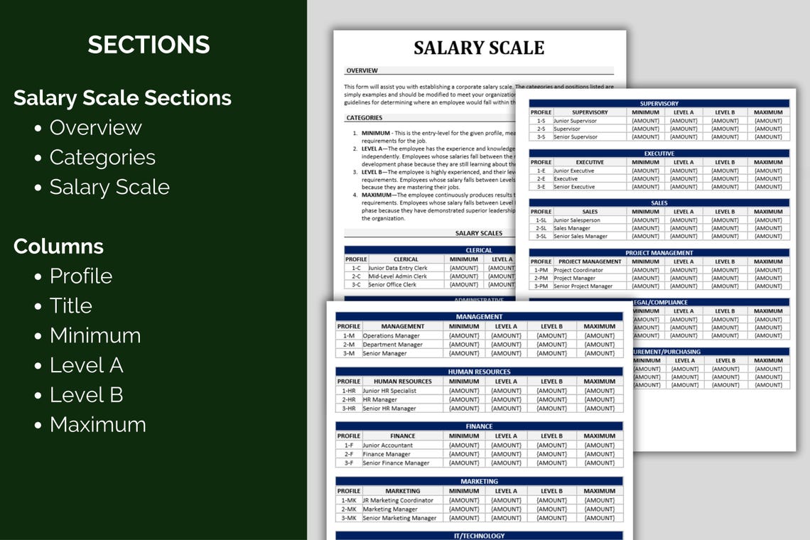 Customizable Salary Scale Template: HR Compensation Management (word ...