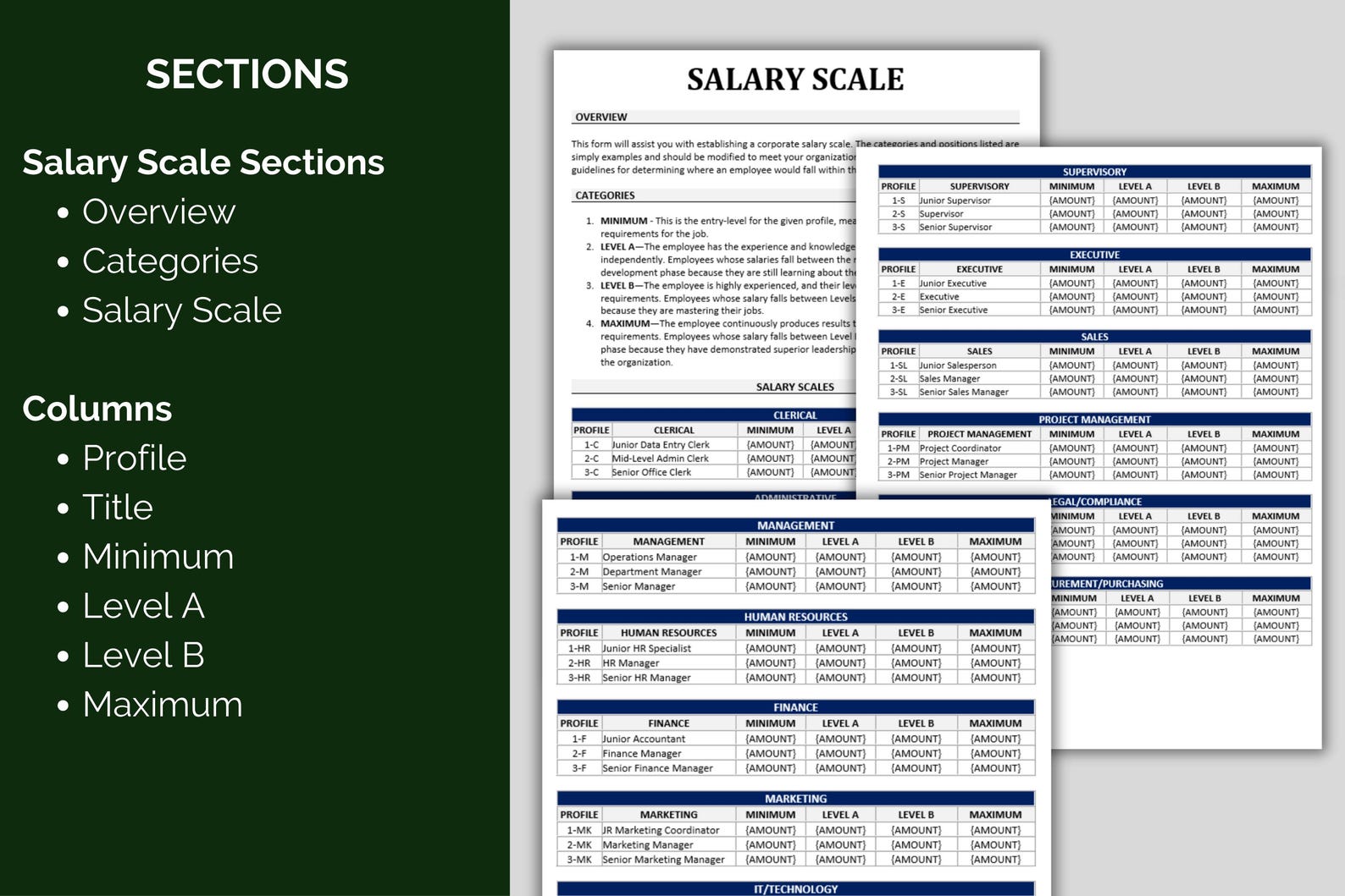 Customizable Salary Scale Template: HR Compensation Management (word ...