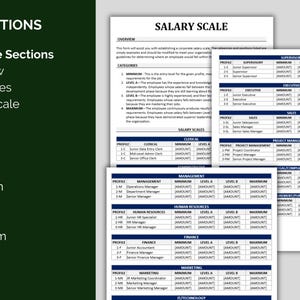 Customizable Salary Scale Template: HR Compensation Management (word ...