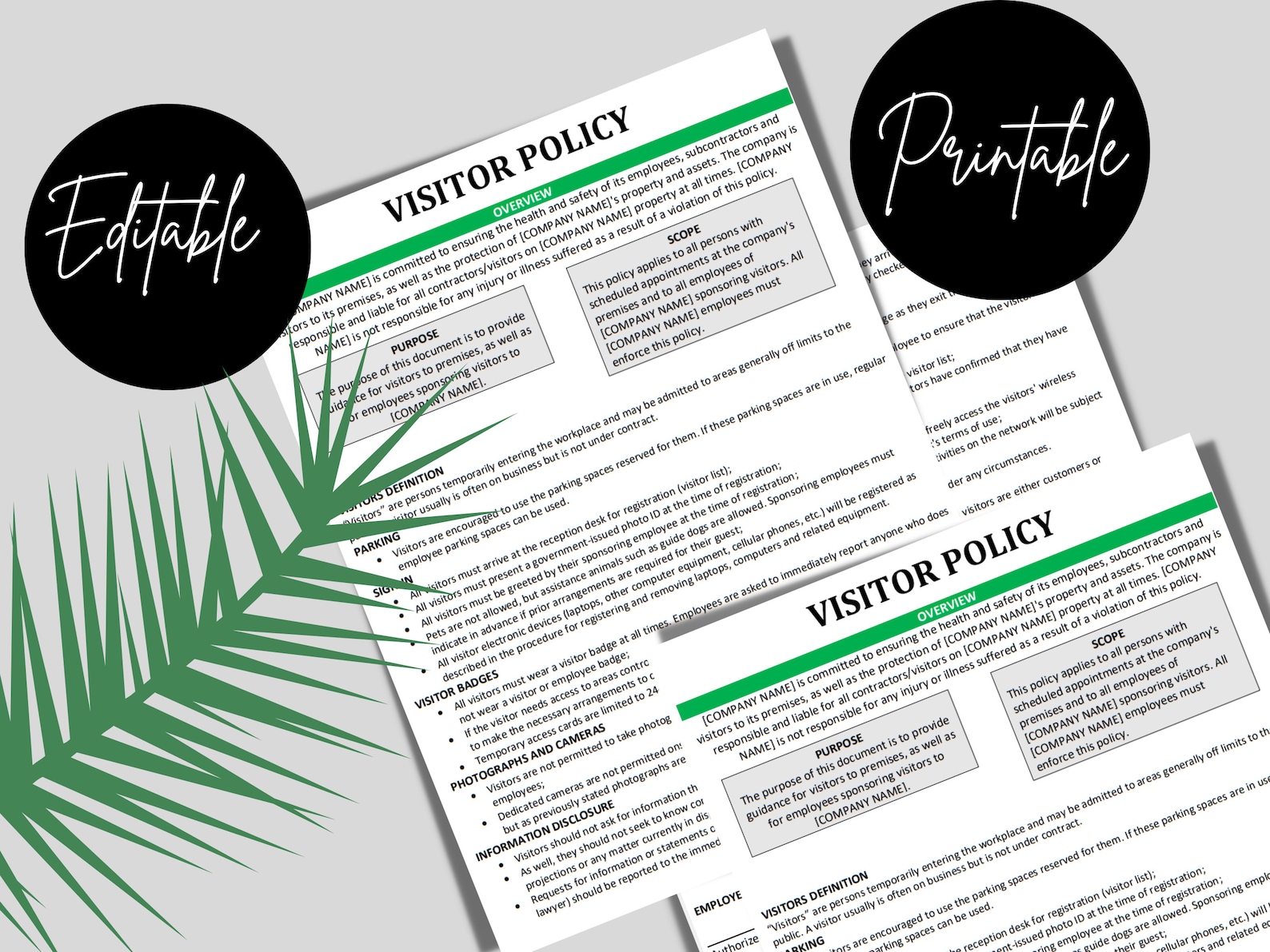 Visitor Policy HR Templates Human Resources Form Employee Document ...