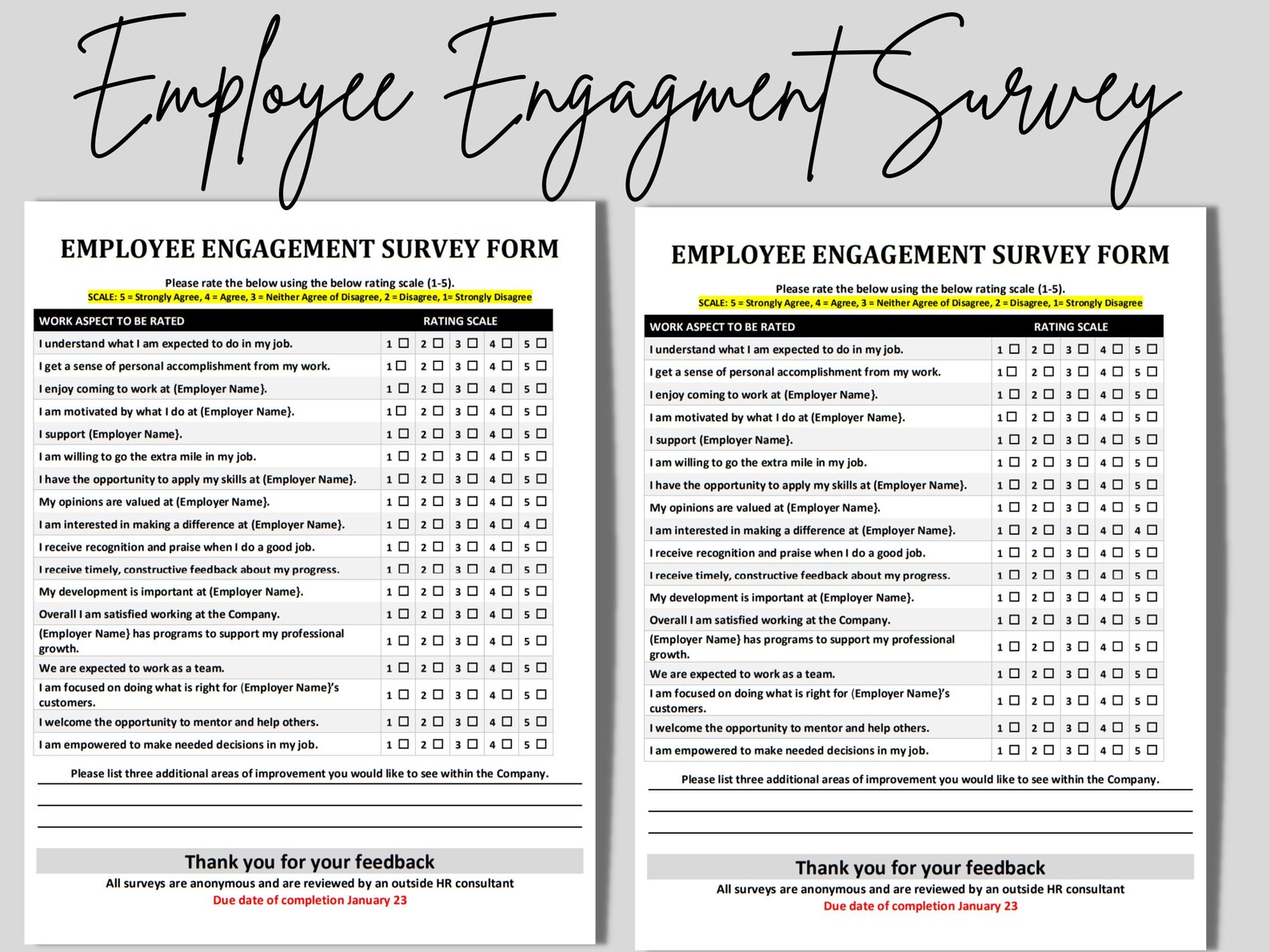 Employee Engagement Survey Template Editable Word Form - Etsy