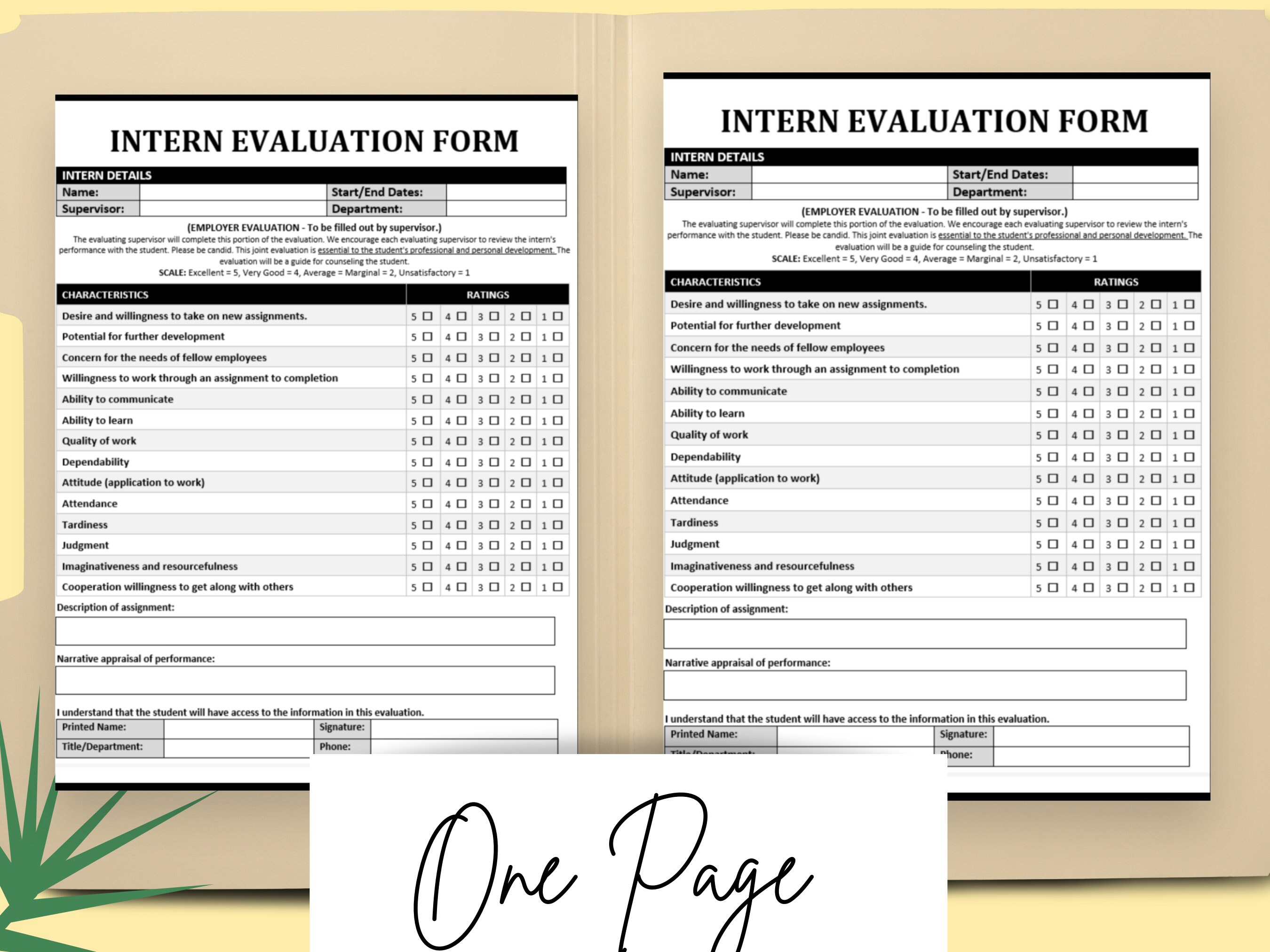Intern Evaluation Form: HR Template for Performance Feedback (MS Word ...
