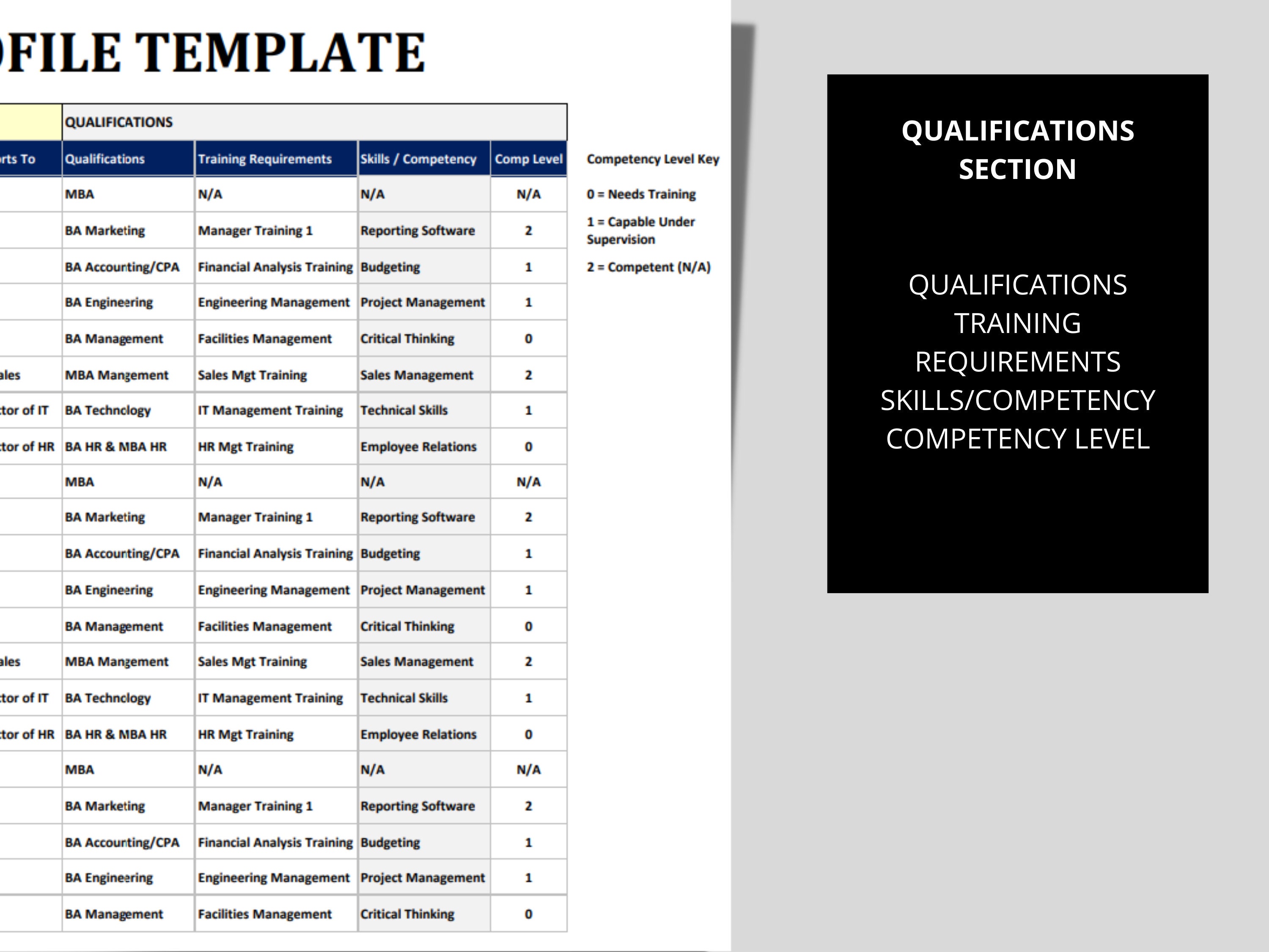 Workforce Profile Template: Excel HR Spreadsheet for Talent Gap ...