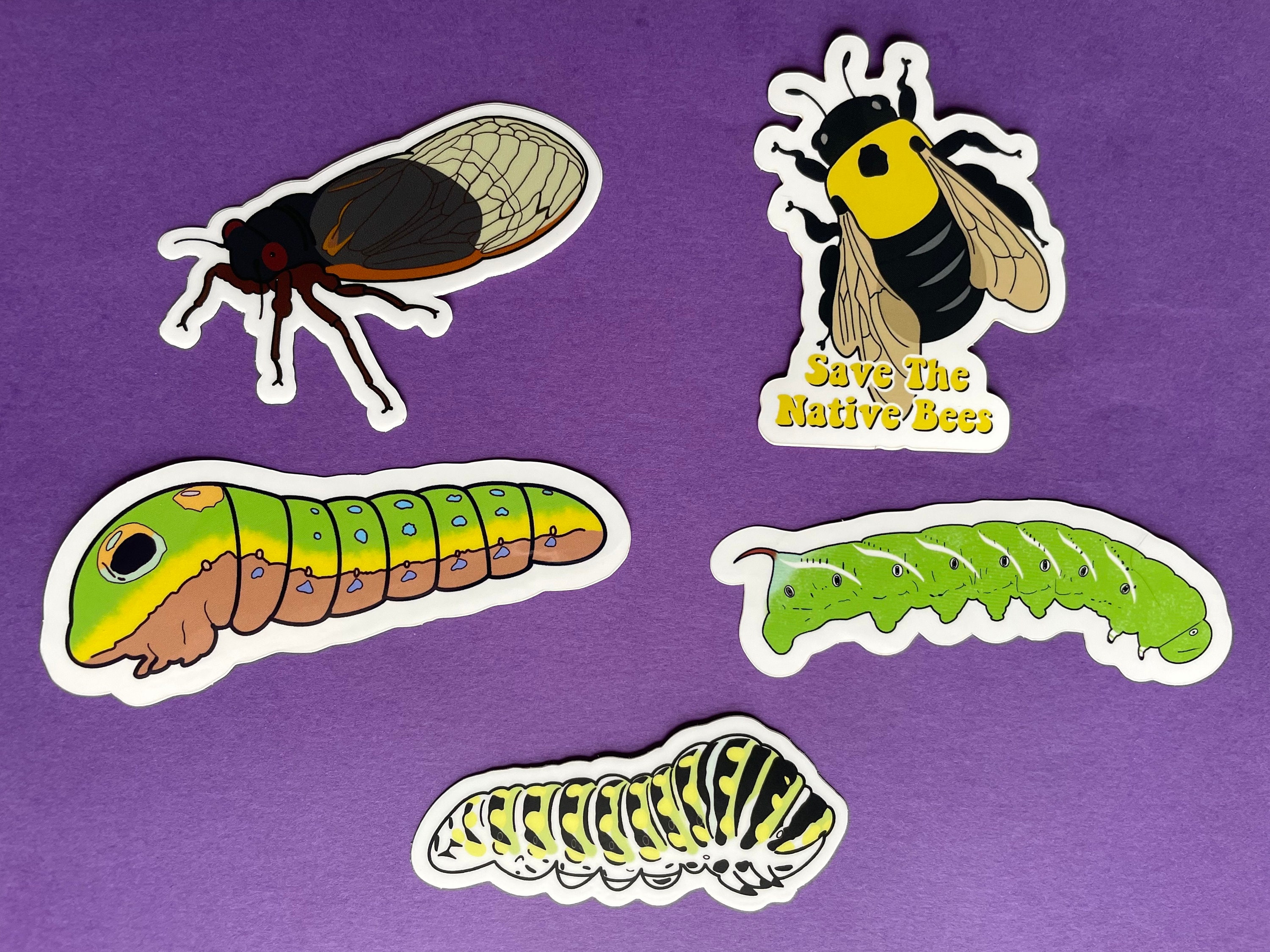 Insect Sticker Set - Etsy