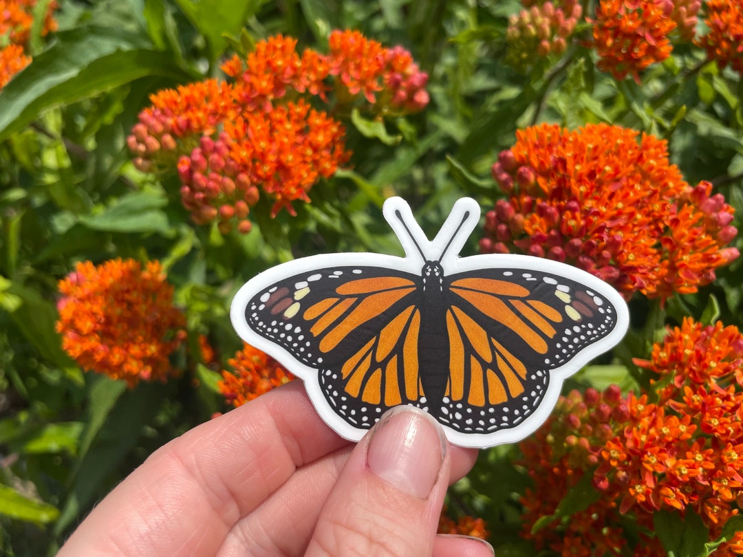 Monarch Butterfly Sticker - Etsy
