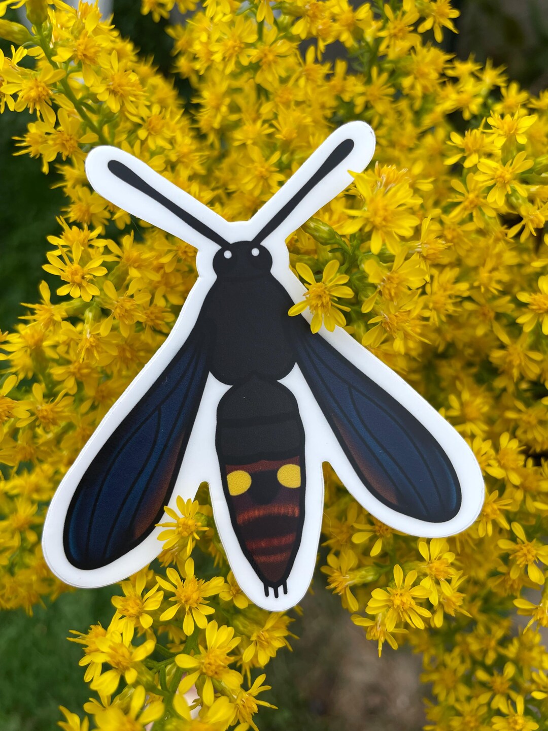 Blue Winged Wasp Sticker - Etsy