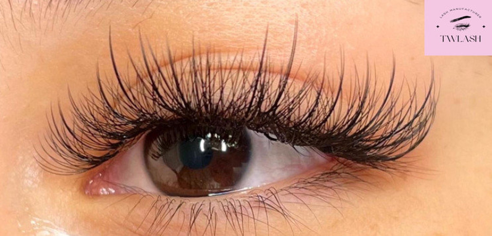 Spike Fans for Eyelash Extensions - Etsy