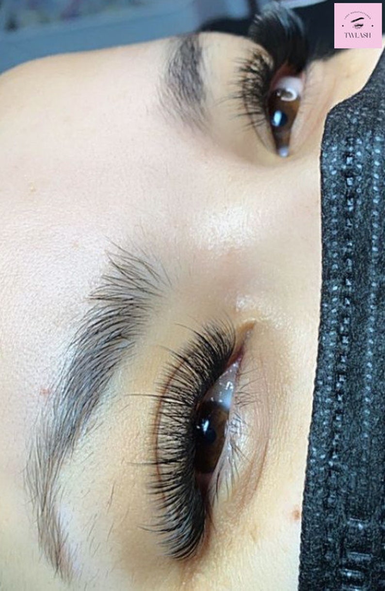 Spike Fans for Eyelash Extensions - Etsy