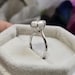 Vintage Cathedral Set Milgrain Filigree Hidden Bridge Ring, White Gold ...