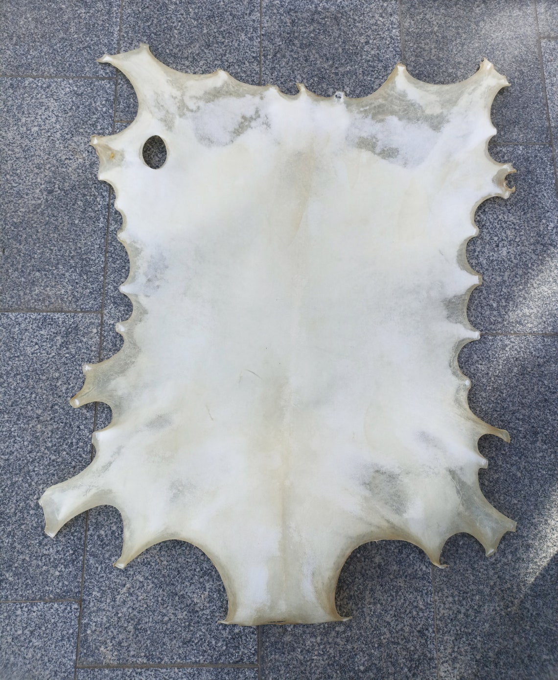 Natural Goatskin Parchment - Handmade Vellum - Real Parchment - Goat ...
