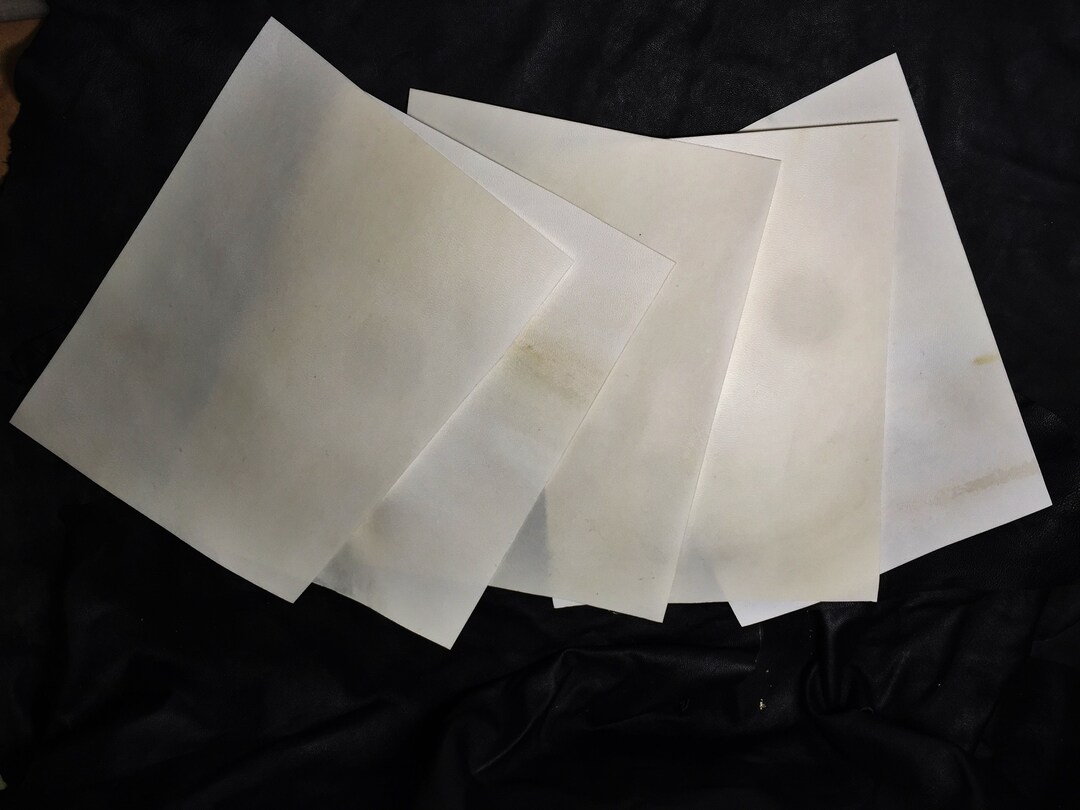 5 Sheets Natural Parchment - Antique and Traditional - Parchment for ...