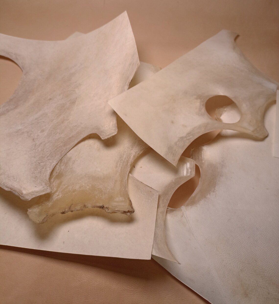 Real Parchment Cuttings - Mixed Goatskin Parchment Piece - Handmade ...